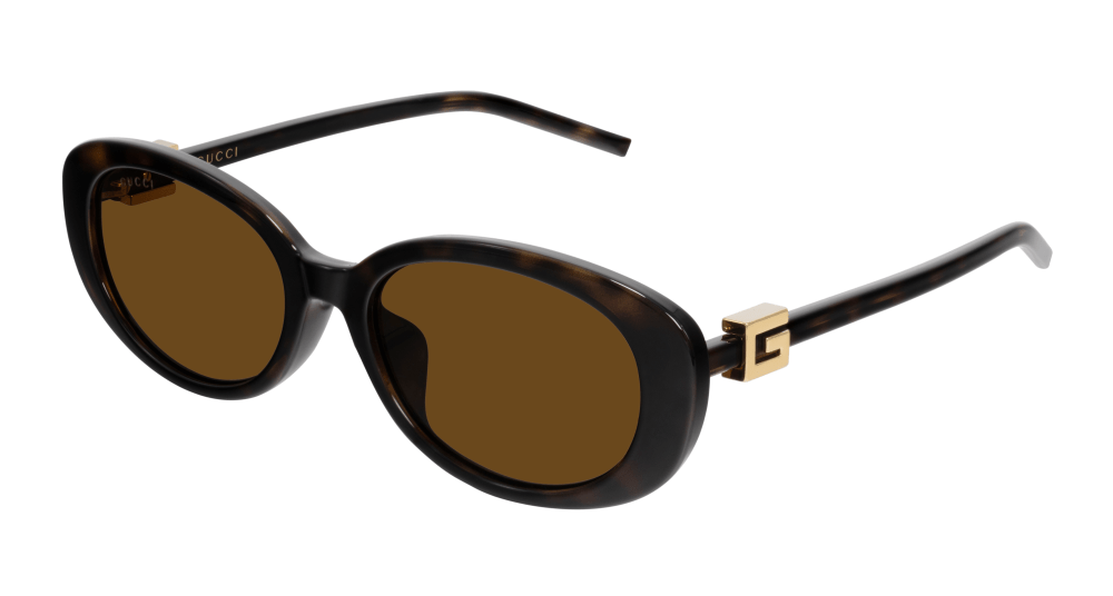 Gucci Sunglass Woman Havana Brown GG1684SA-004 – Sedgars SA